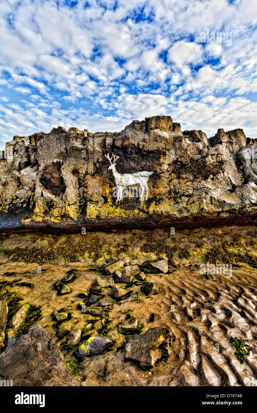 Stag rock bamburgh hi-res stock photography and images - Alamy