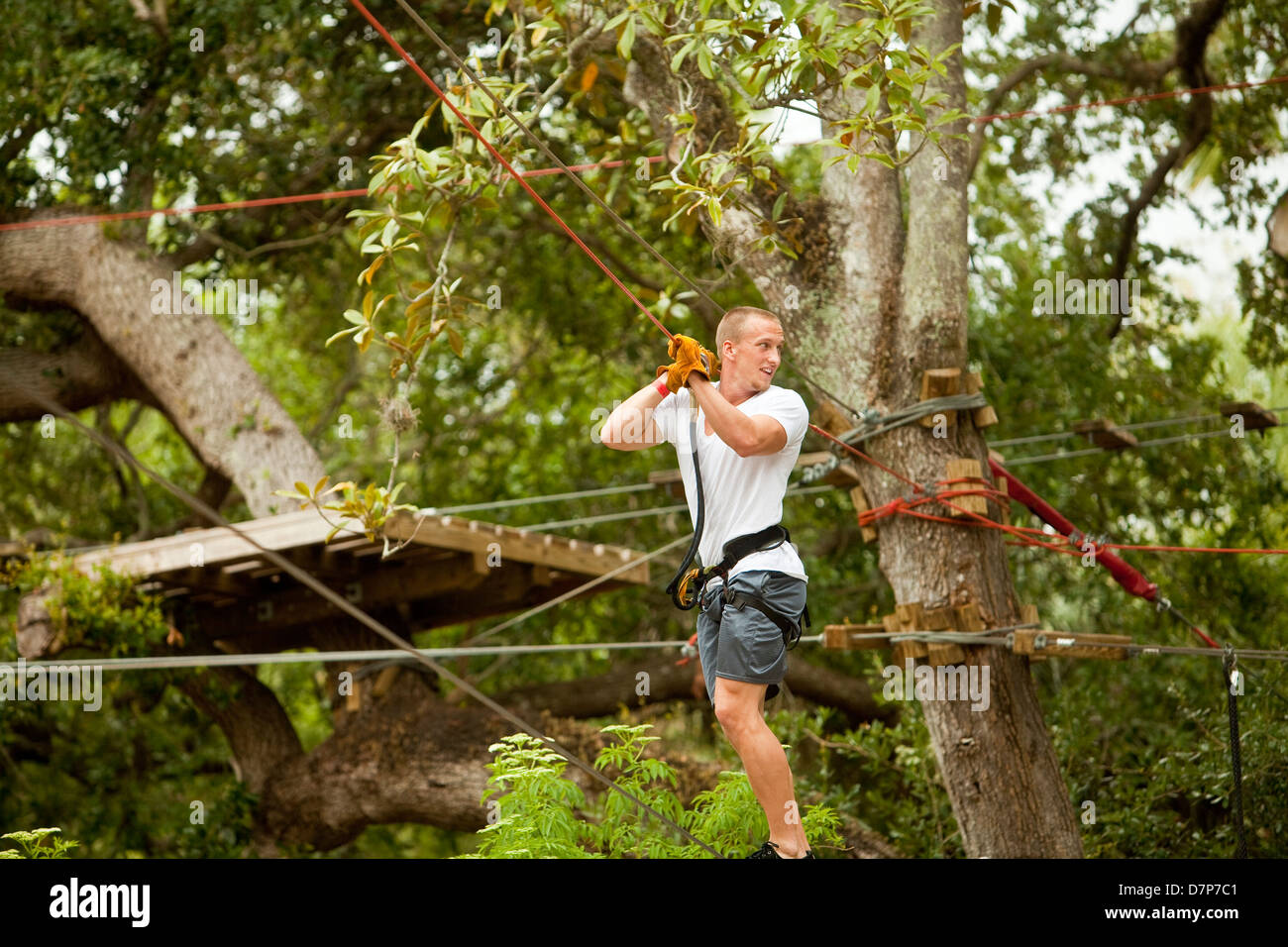 Crocodile line hi-res stock photography and images - Alamy