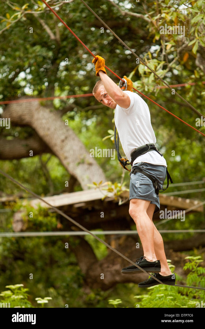 Crocodile crossing hi-res stock photography and images - Alamy