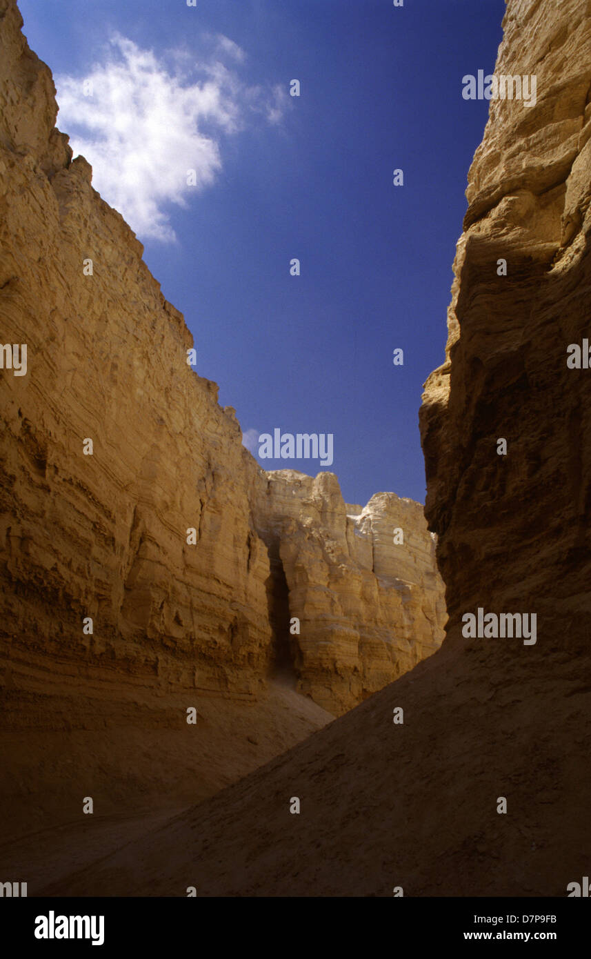 Sandstone ravine in the Judaean or Judean Desert West bank Israel Stock ...