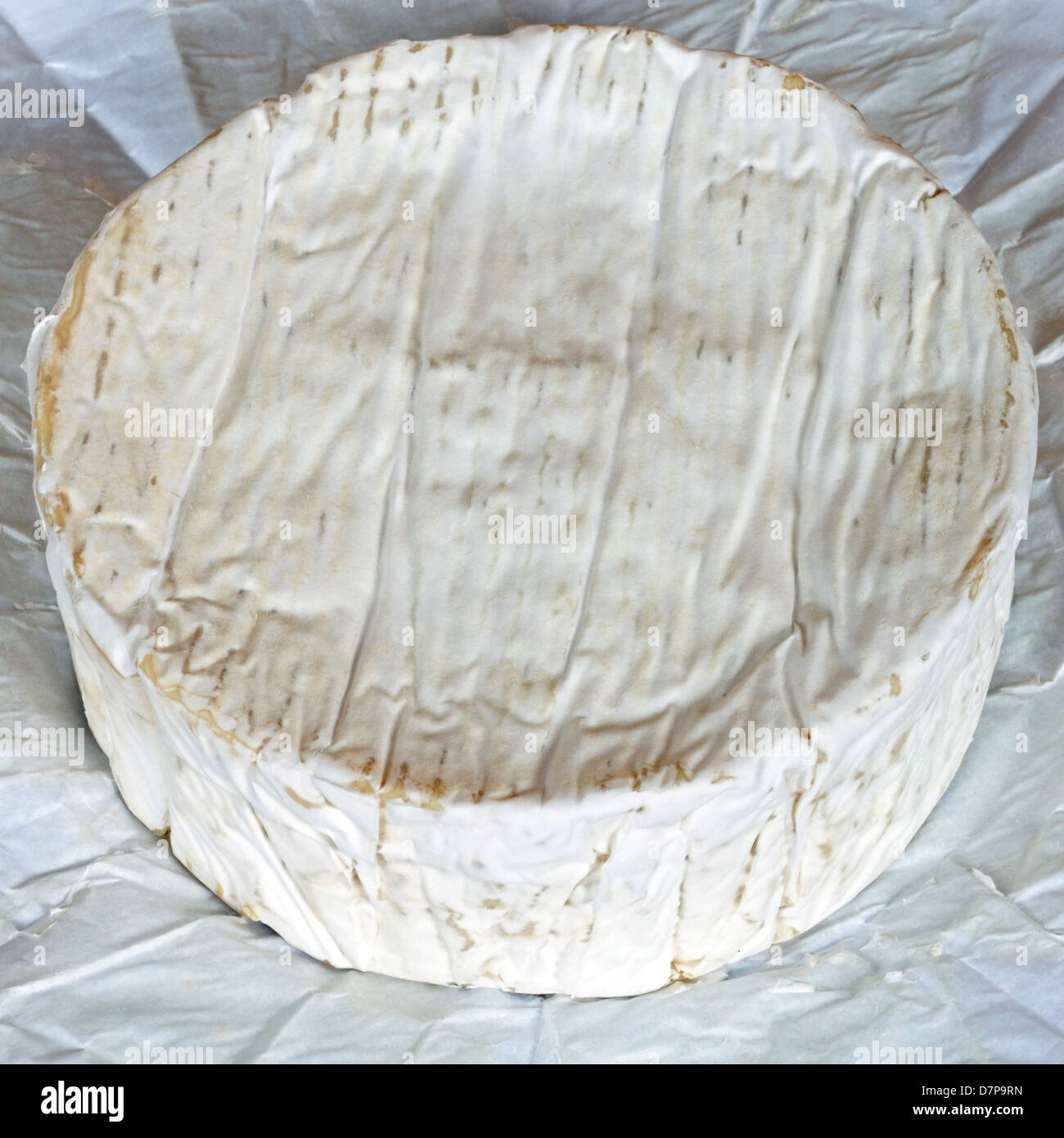 Whole French Camembert on greaseproof paper Stock Photo - Alamy