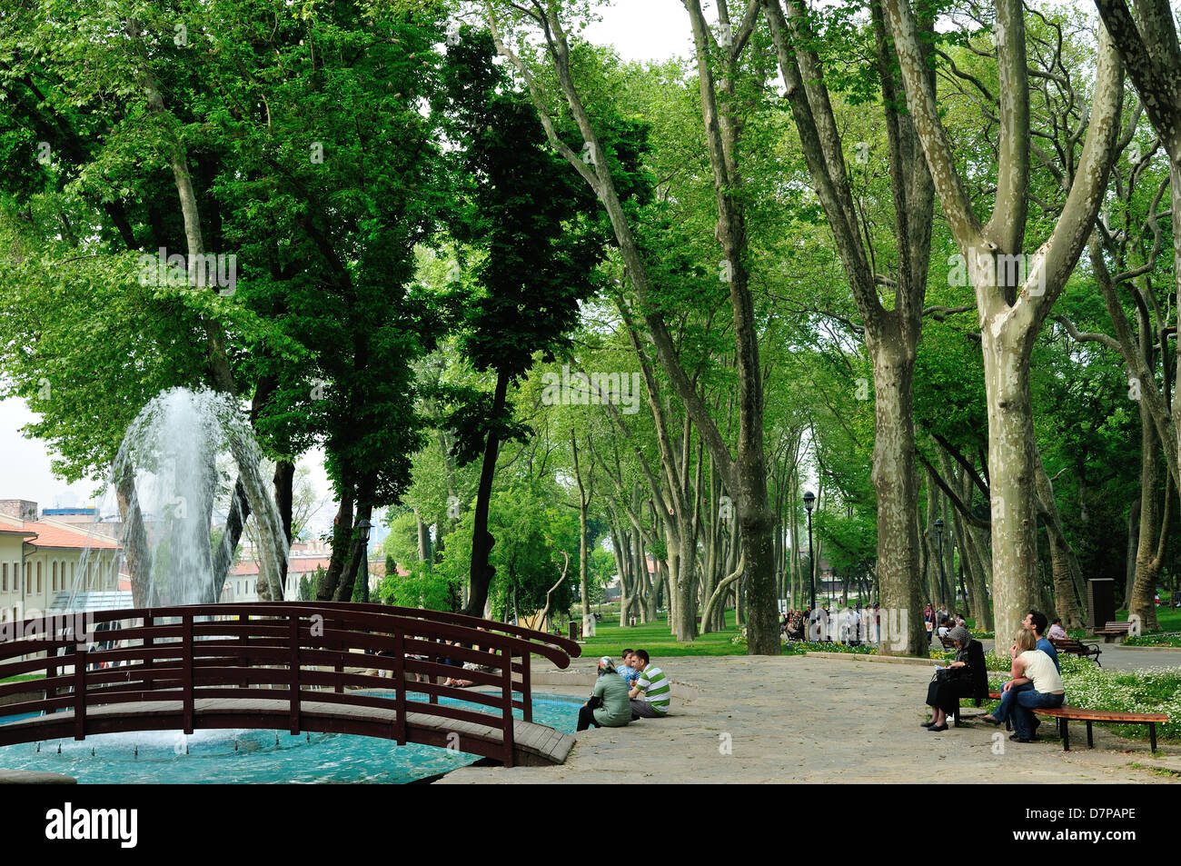 Avenue of plane trees hi-res stock photography and images - Alamy