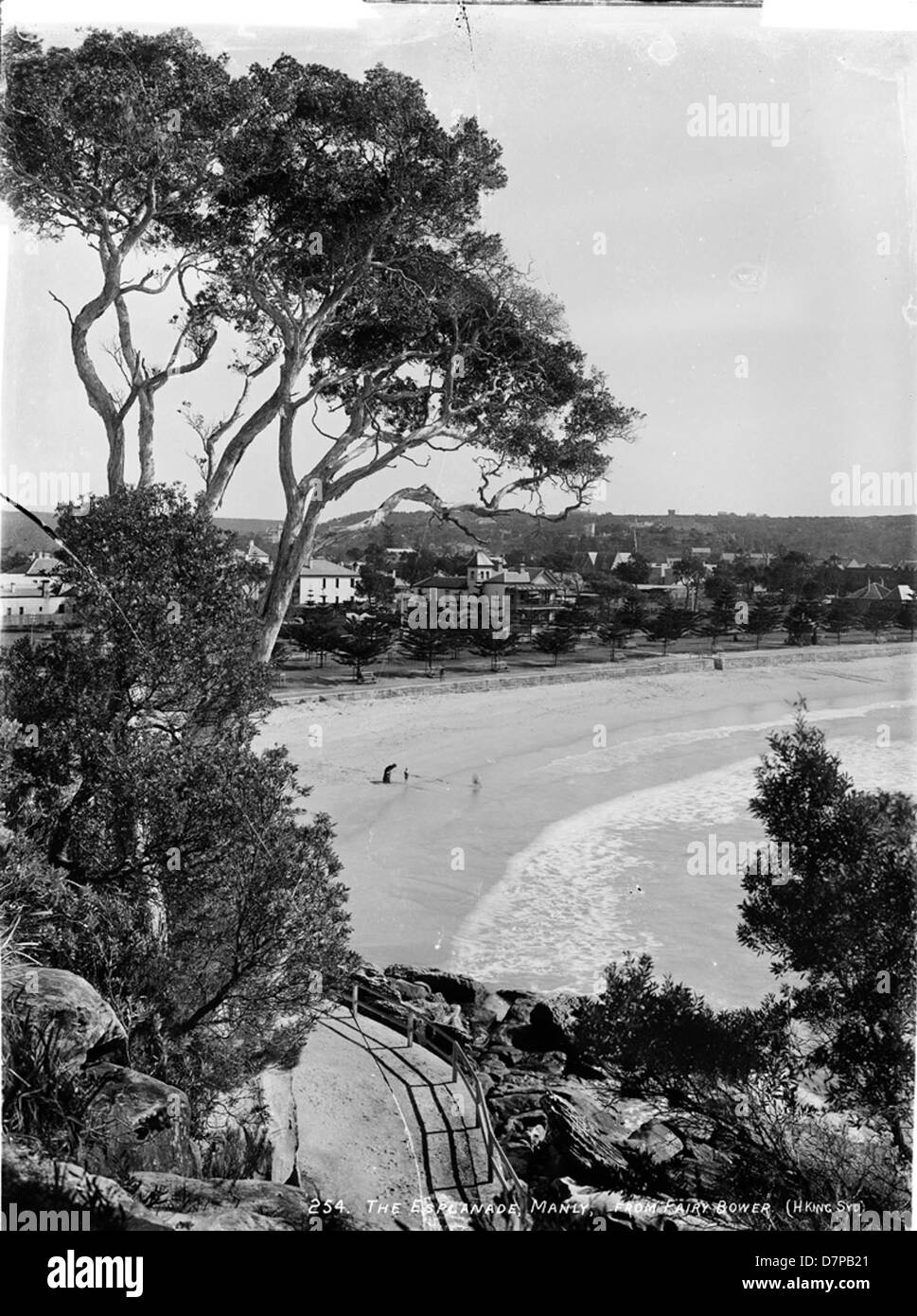 A 19th-century photograph of the Esplanade at Manly, taken from Fairy ...