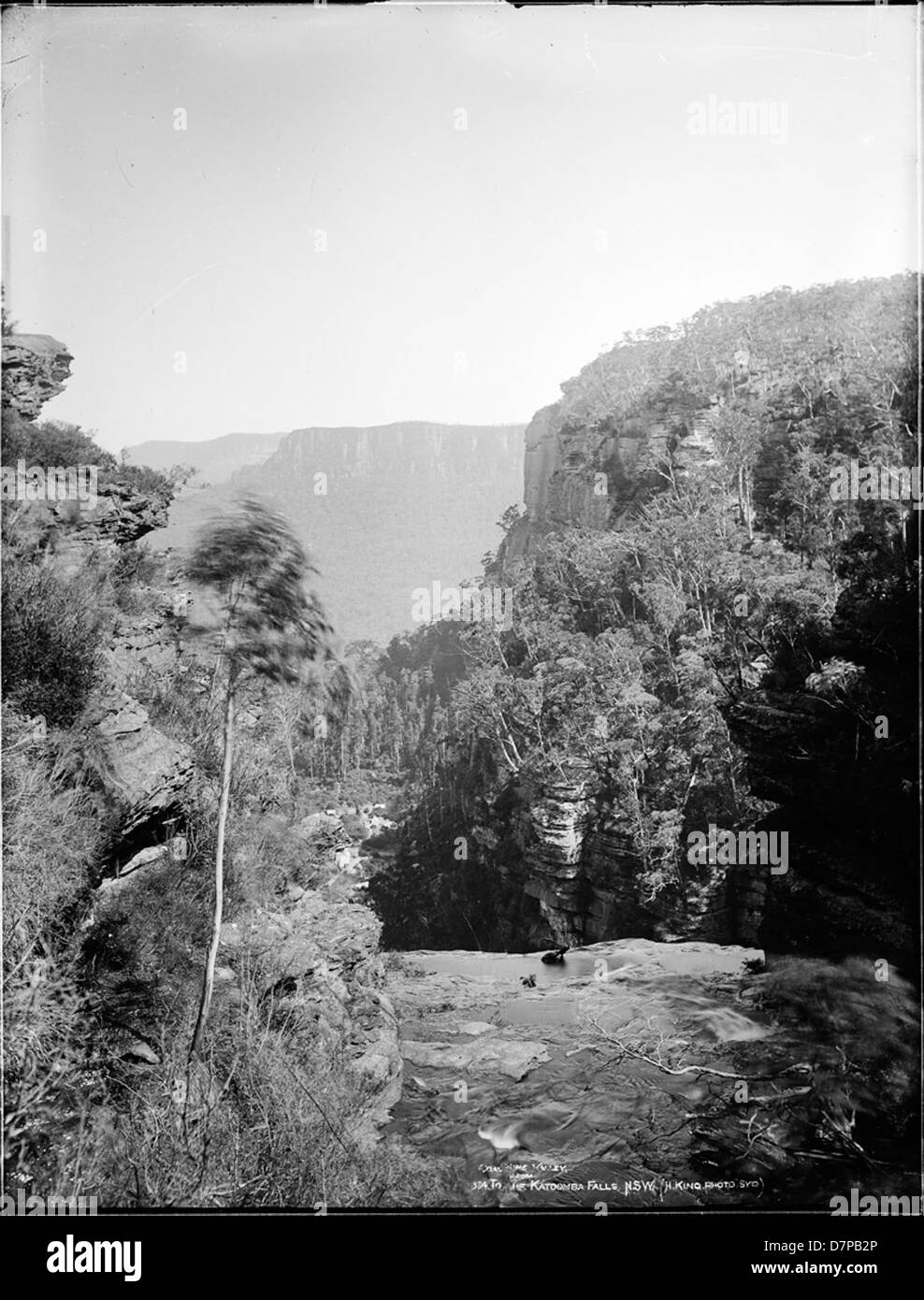 A scenic view of Grose Valley in Blackheath, located within the Blue ...