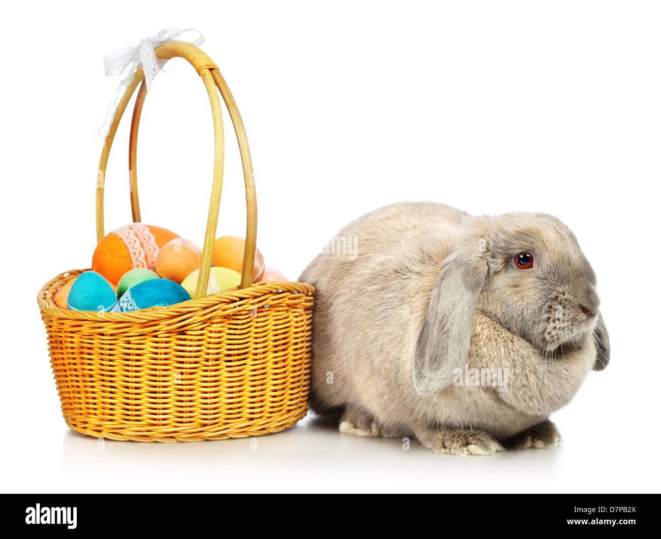 gray lop-earred rabbit and Easter basket, isolated on white Stock Photo ...