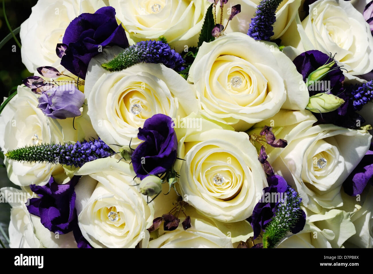 Brides white rose and purple flower closeup on wedding day Stock Photo ...