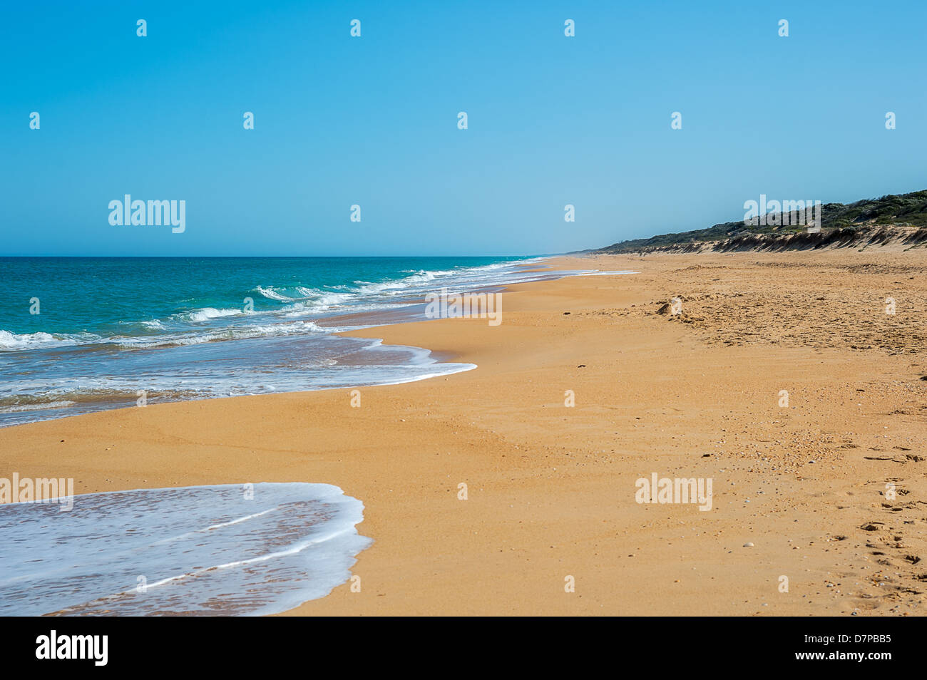 Australian beach clear water hi-res stock photography and images - Alamy