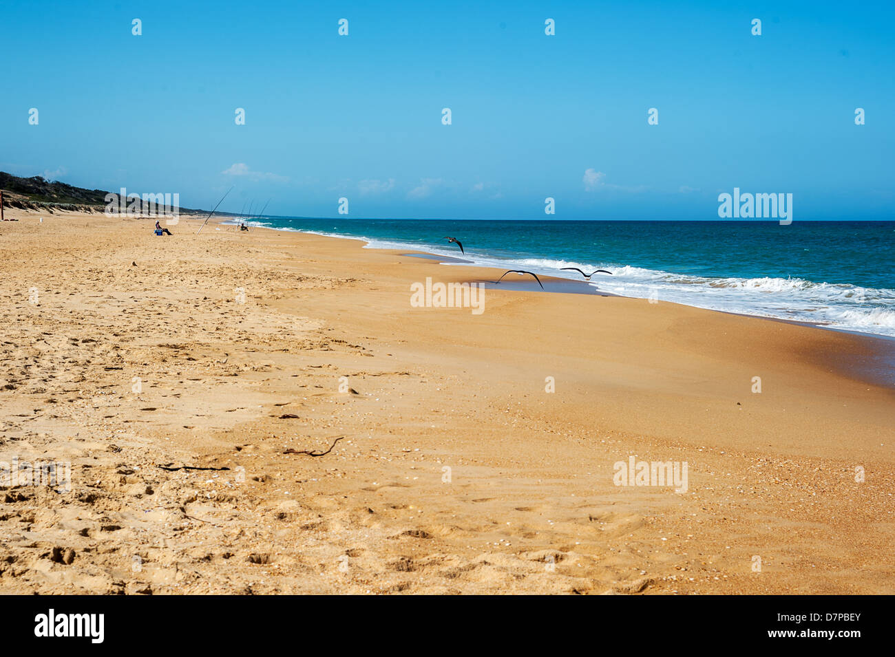 The golden sand, clear blue sky and aquamarine sea water of an ...