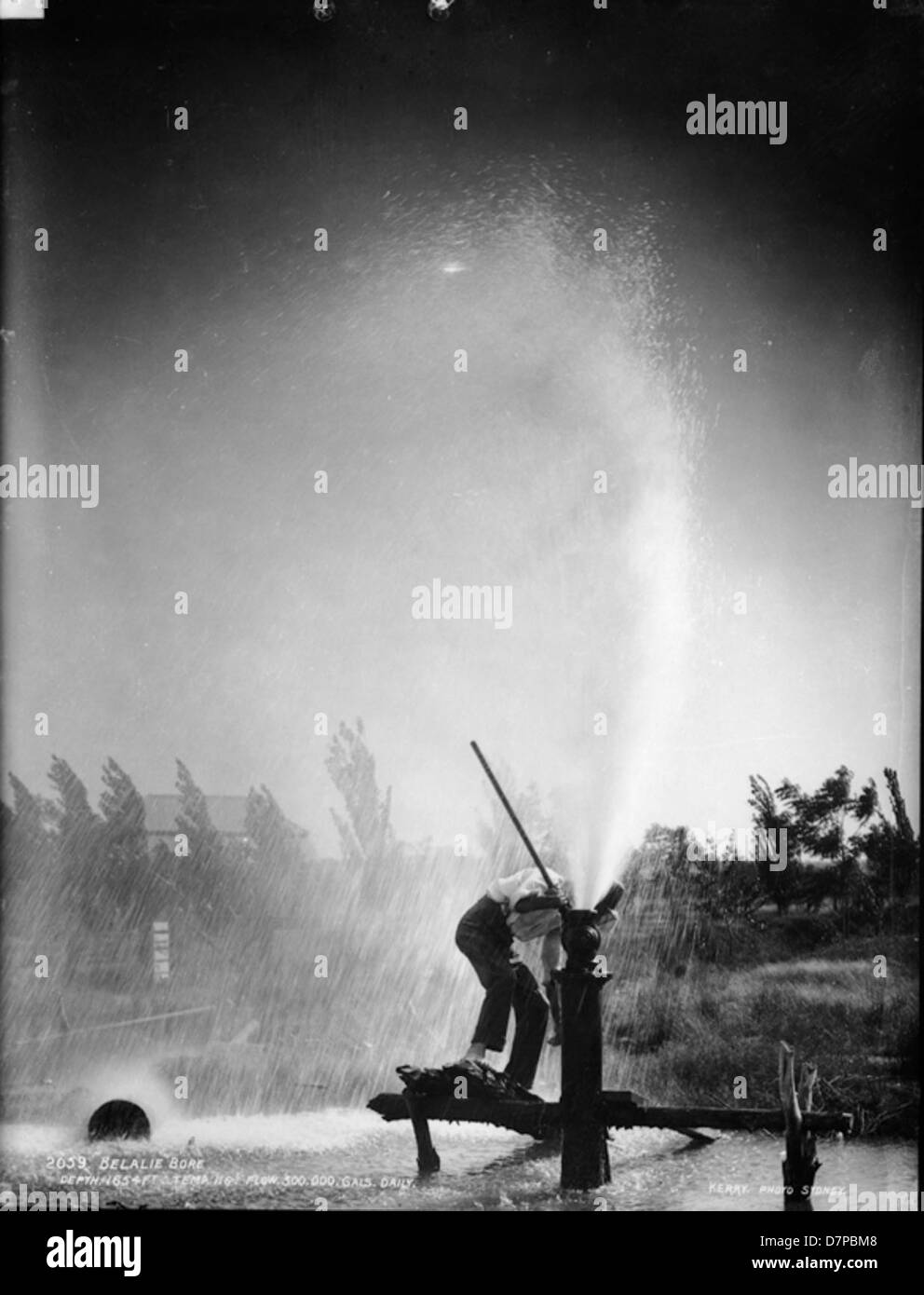 Belalie bore hi-res stock photography and images - Alamy