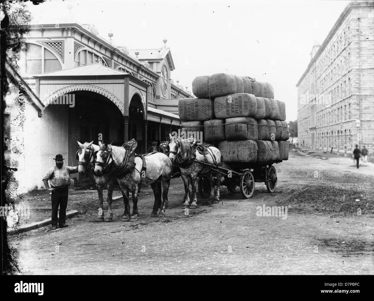 History of australian wool industry Black and White Stock Photos ...