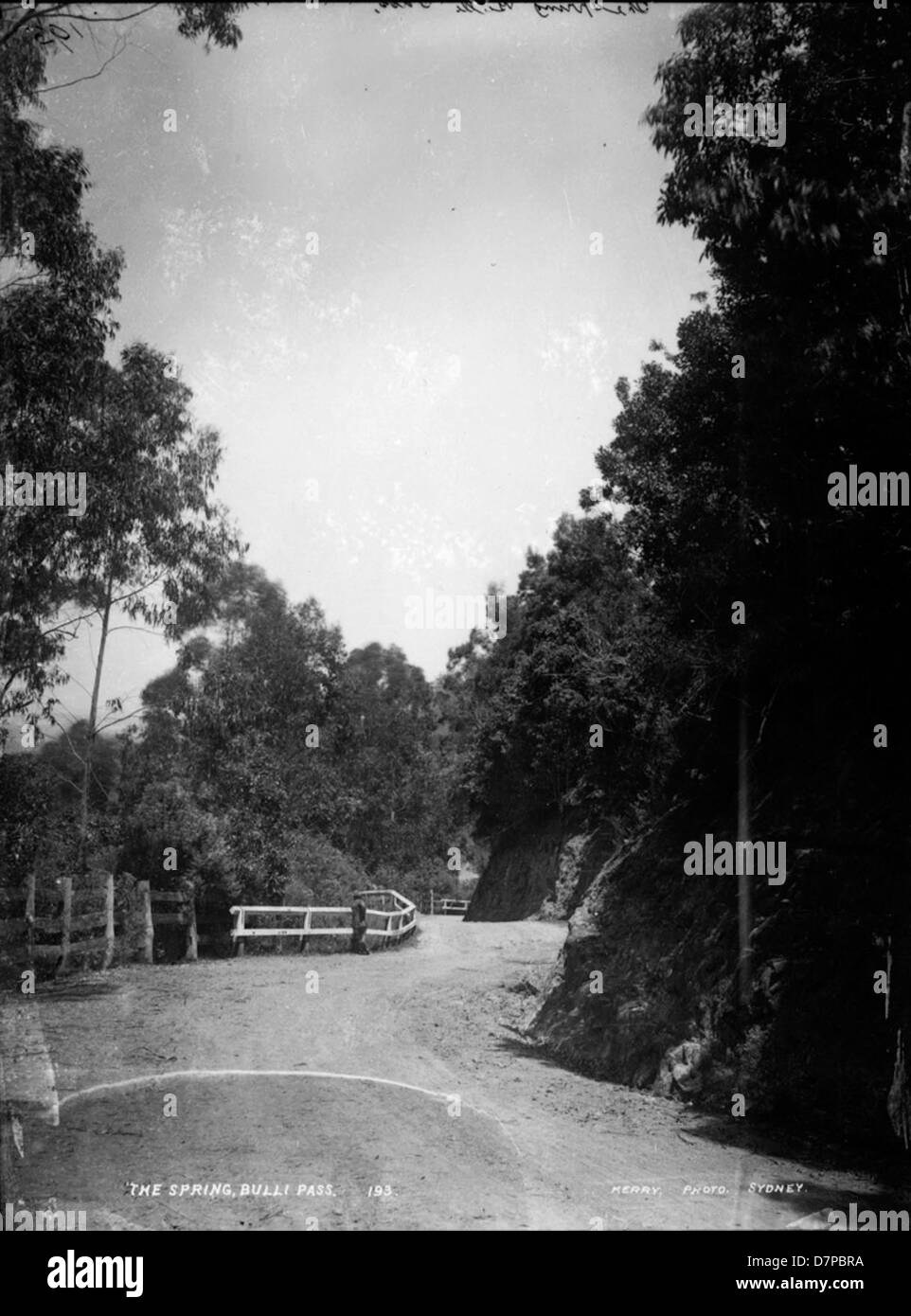 This historical photograph shows Bulli Road and the Bulli Pass, near ...
