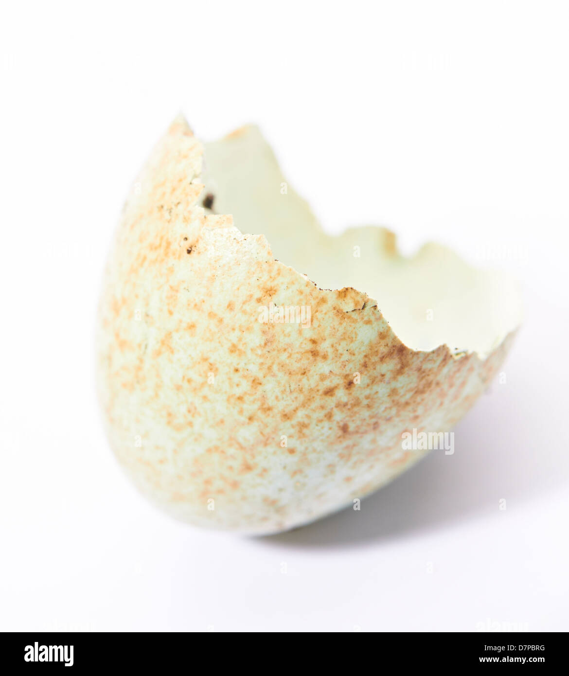 Cracked shell egg hi-res stock photography and images - Alamy
