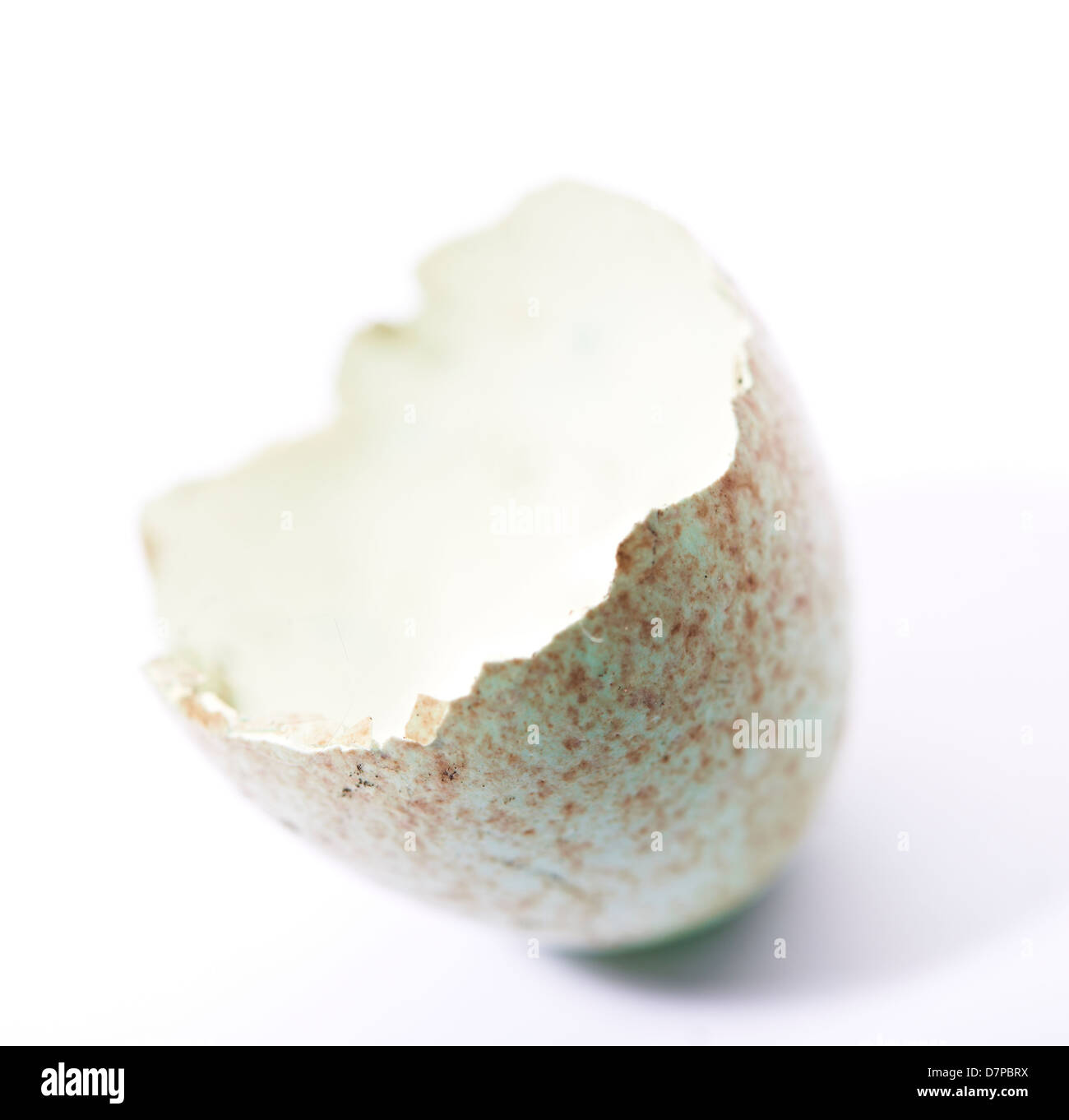 Cracked shell egg hi-res stock photography and images - Alamy
