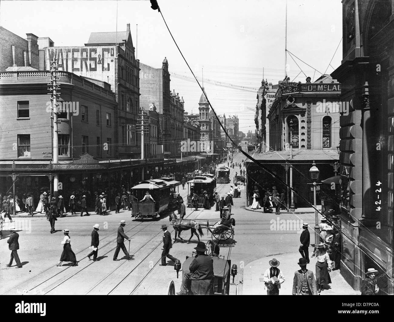 Sydney trams old hi-res stock photography and images - Alamy
