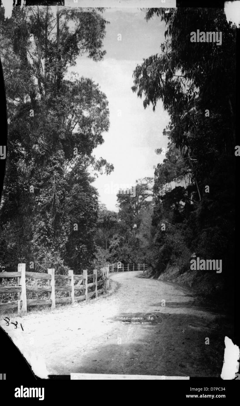 Bulli Pass High Resolution Stock Photography and Images - Alamy