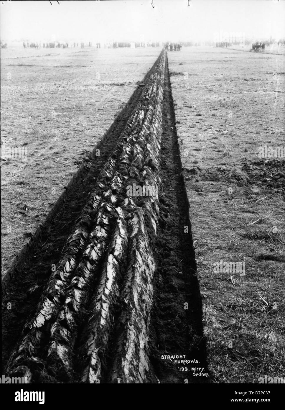 Straight furrows hi-res stock photography and images - Alamy