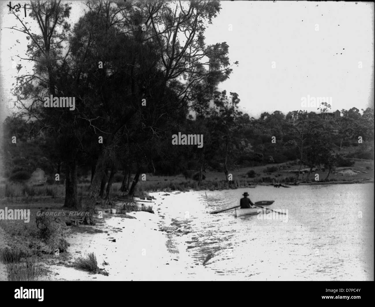 The image features a rowboat on the Georges River, with conifer trees ...