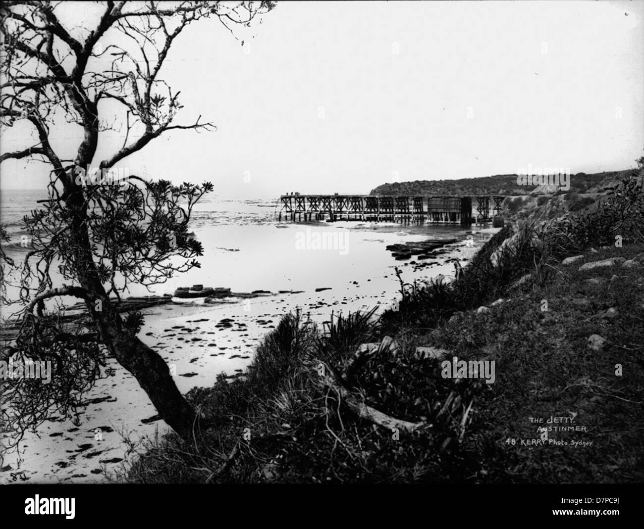 This black-and-white image features the jetty at Austinmer, near the ...
