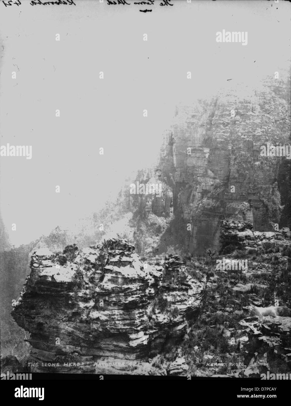 Blue lions Black and White Stock Photos & Images - Alamy