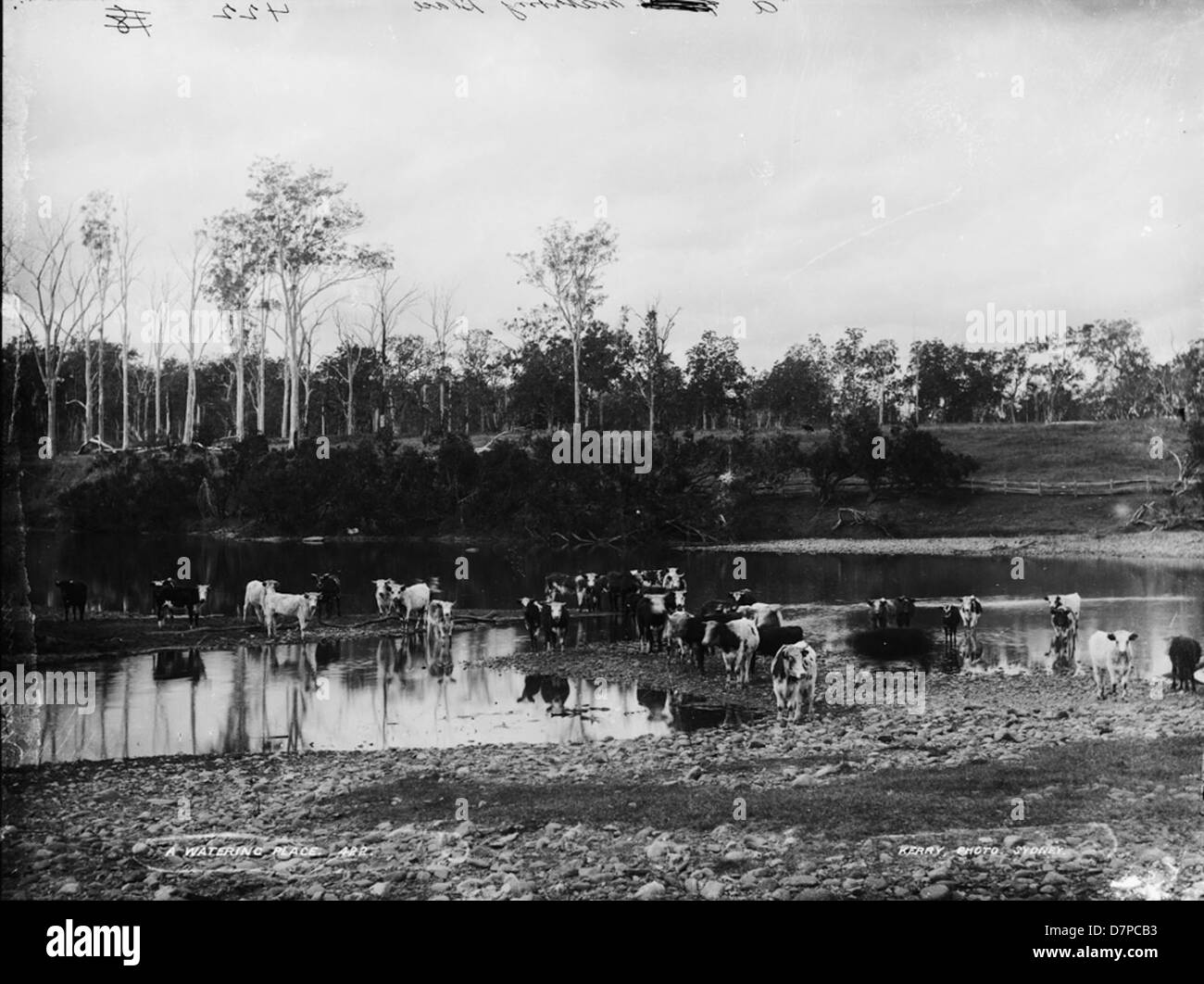 A watering place Stock Photo - Alamy