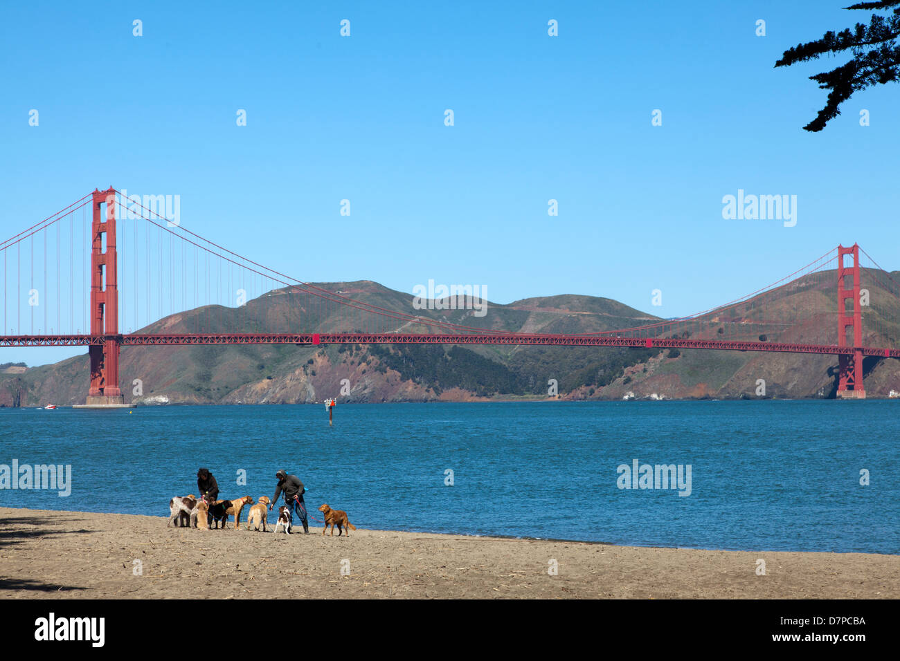 The Golden Gate Bridge, San Francisco Bay, California, USA Stock Photo ...