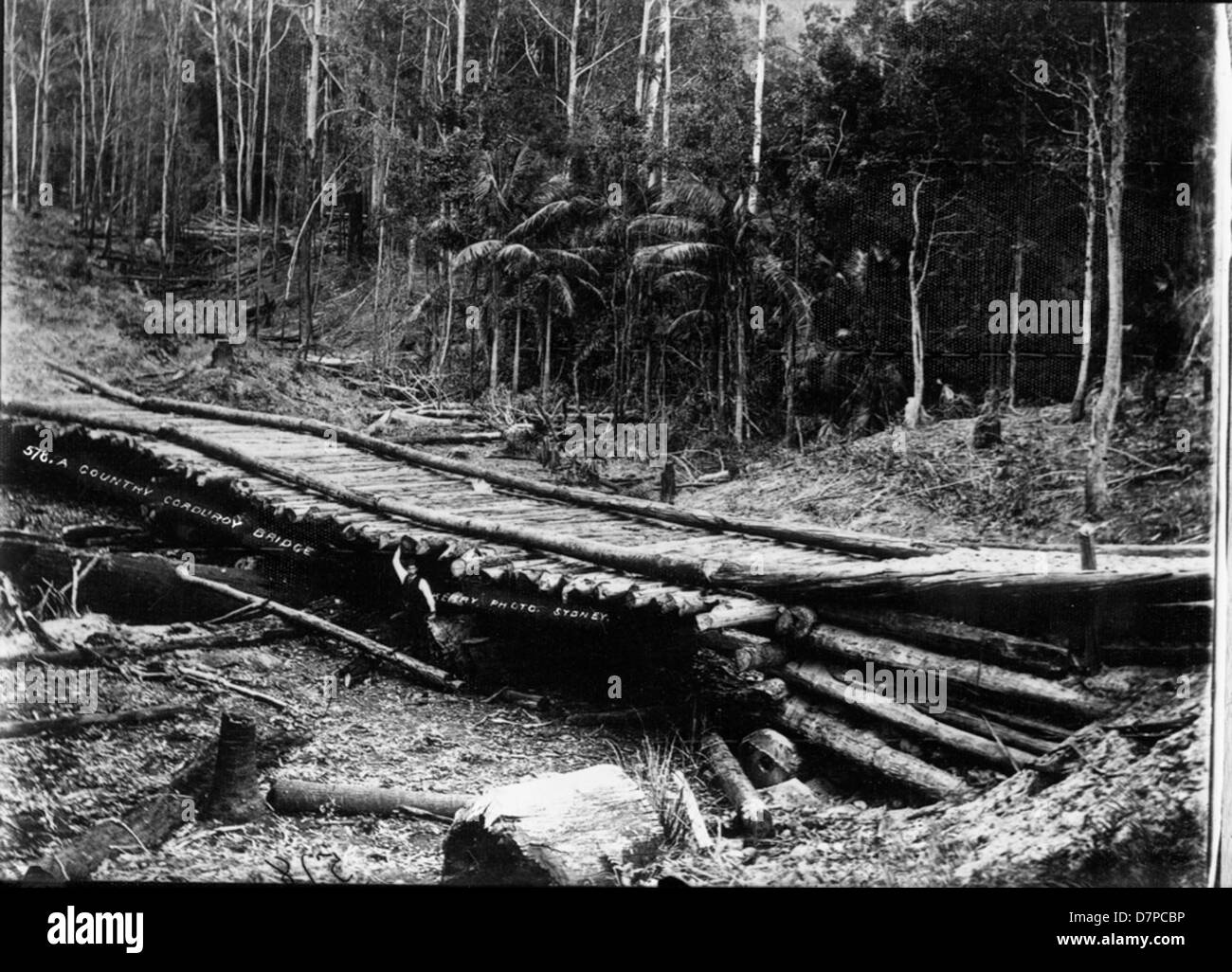 Country corduroy bridge Stock Photo - Alamy