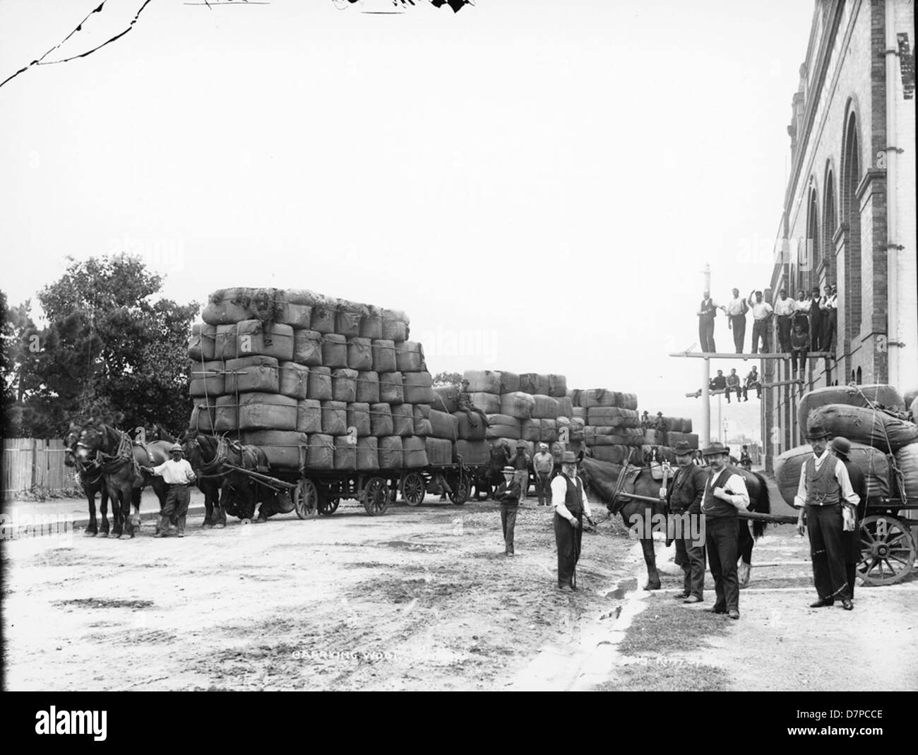 Loading wool bales hi-res stock photography and images - Alamy
