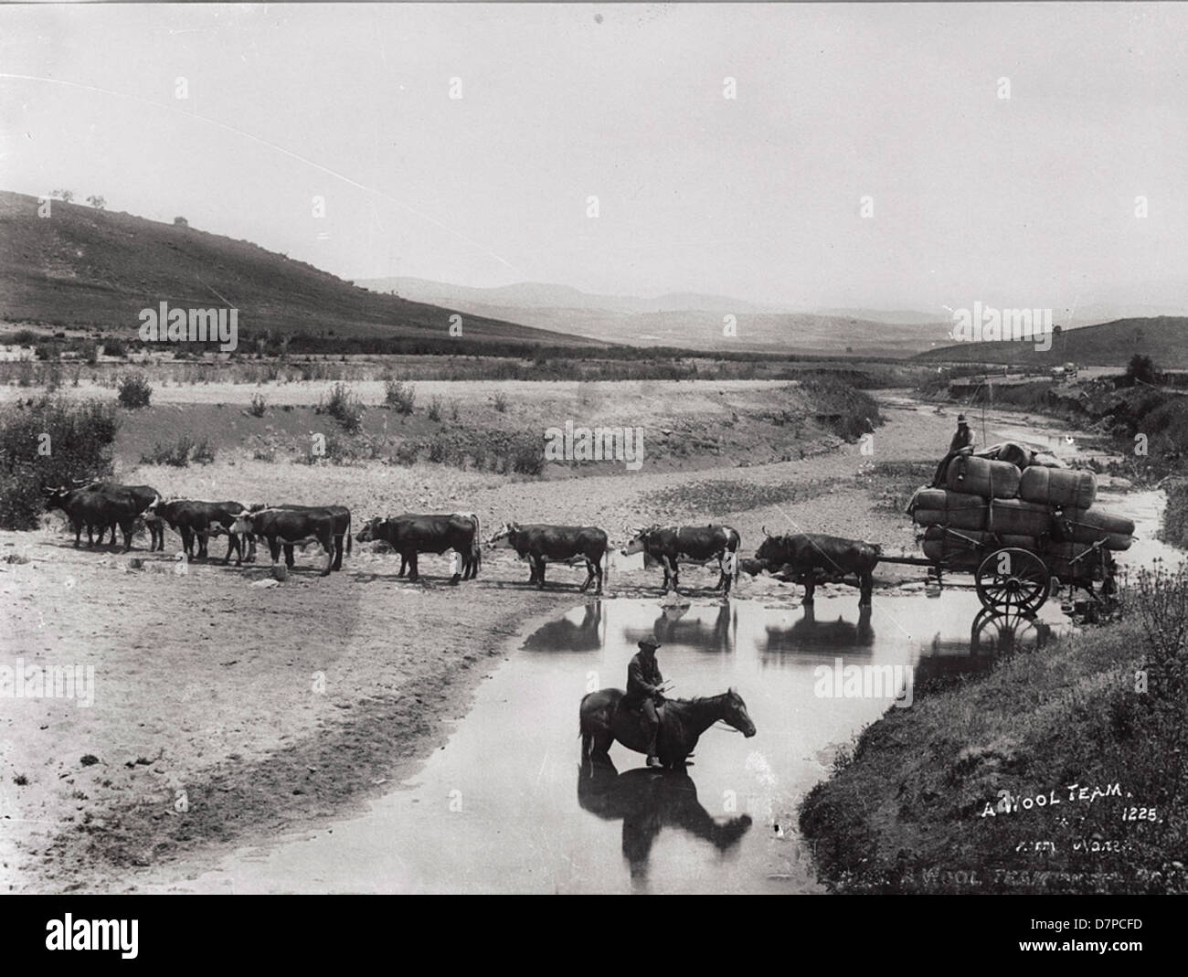 Australian wool history hi-res stock photography and images - Alamy