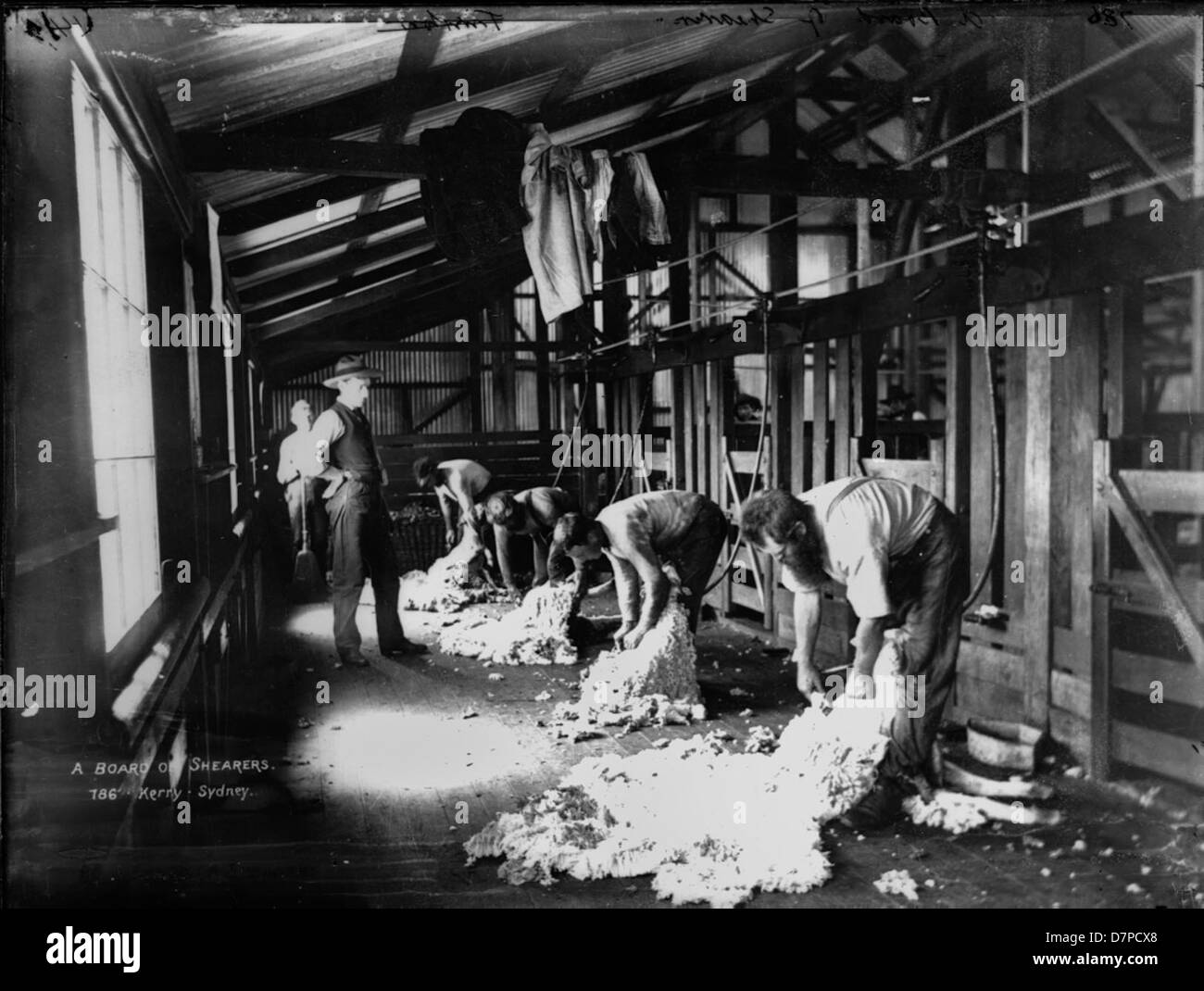 Shearers hi-res stock photography and images - Alamy