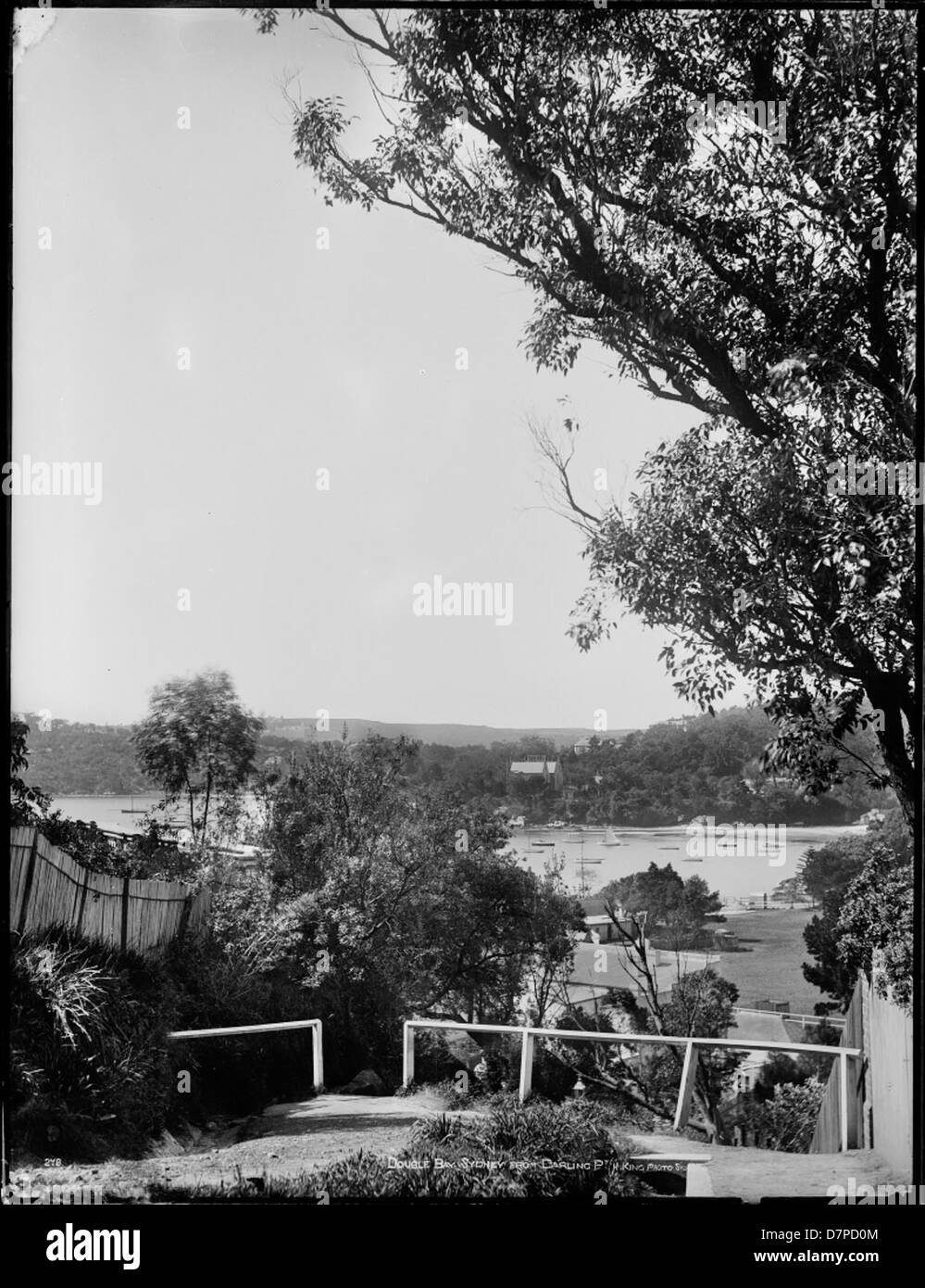 A historical view of Double Bay in Sydney, captured from Darling Point ...