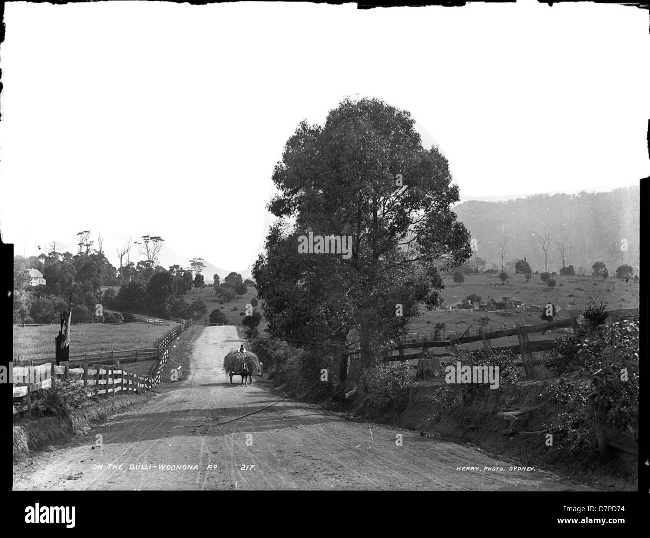 A historical photograph capturing Bulli-Woonona Road, showcasing the ...