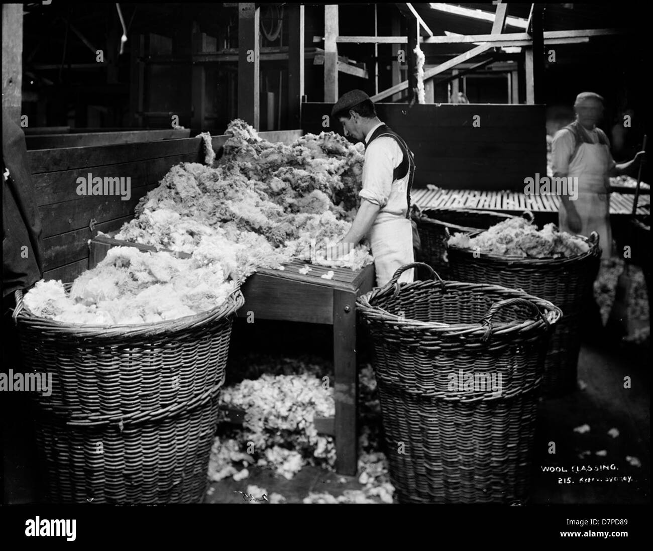 The Powerhouse Museum showcases the historical practice of wool ...