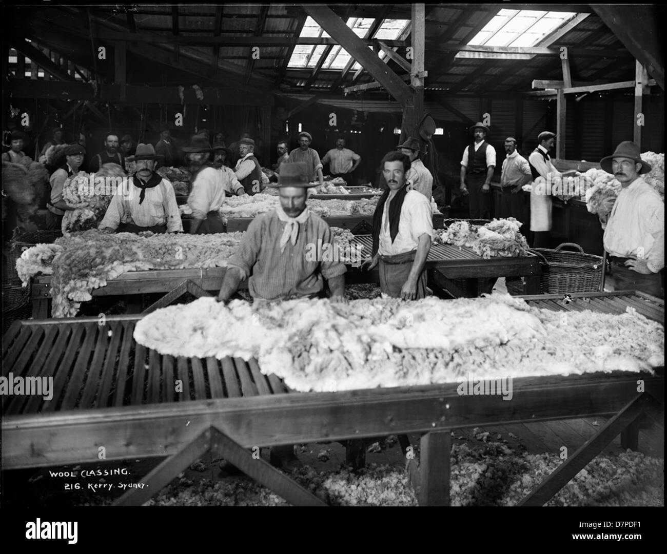 Wool grading table hi-res stock photography and images - Alamy