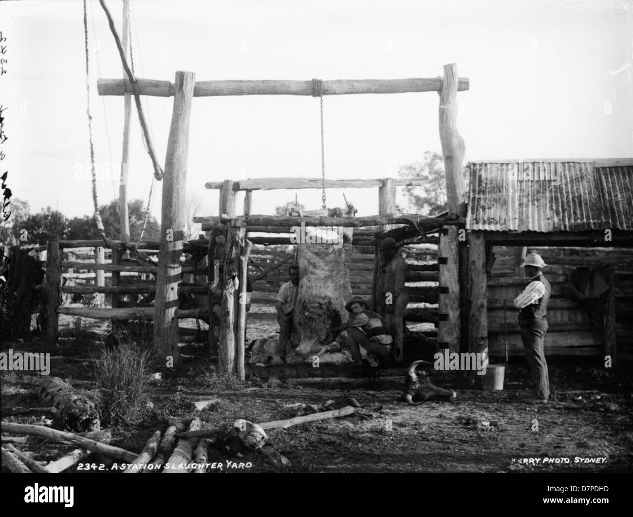 This photograph depicts a historic station slaughter yard with a ...