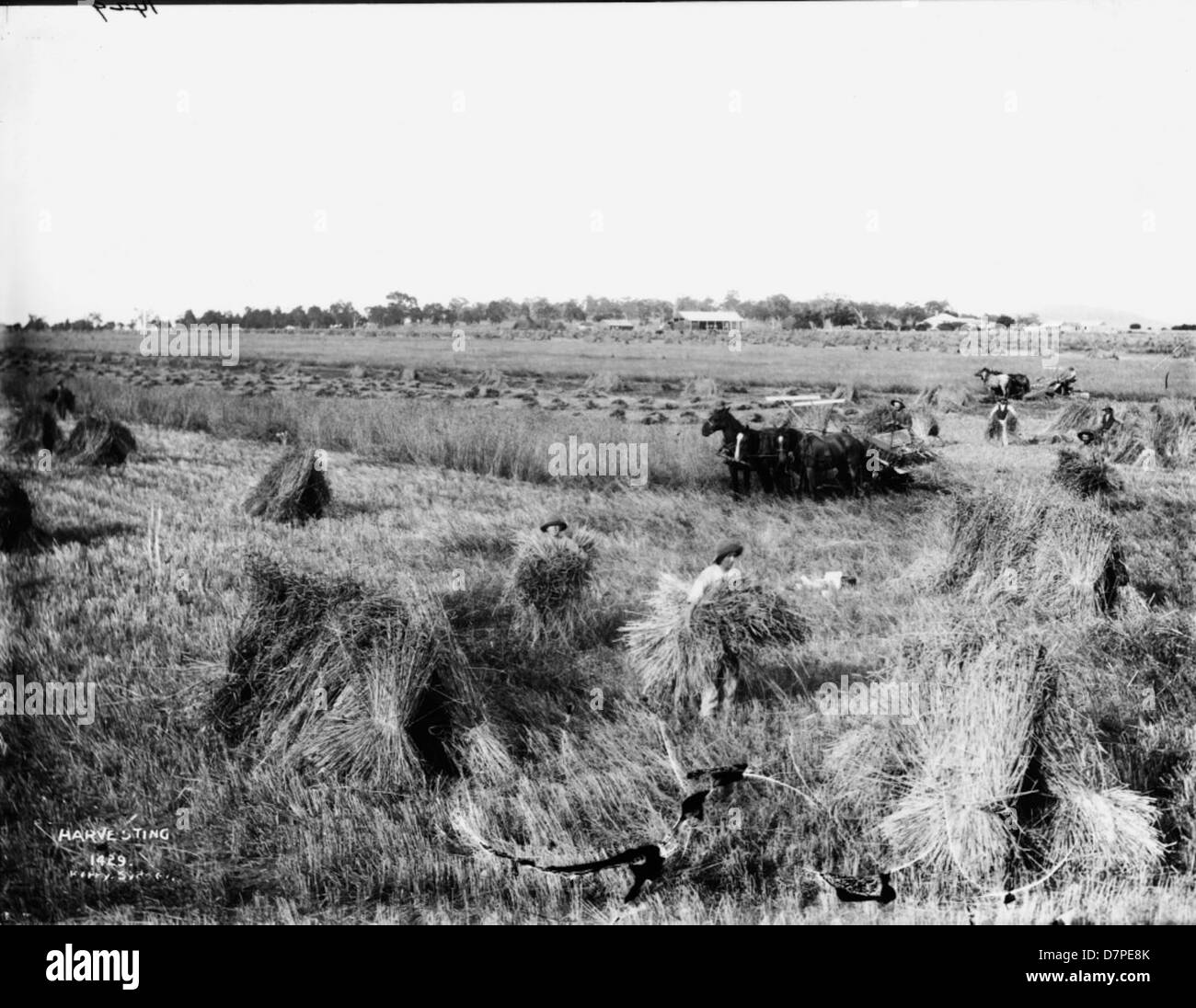 The Powerhouse Museum’s collection includes this historical farming ...