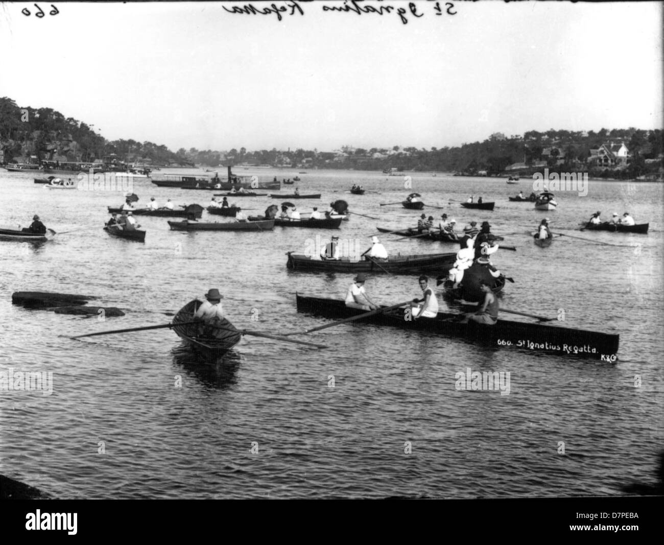 The St. Ignatius Regatta, held in Sydney, is a competitive rowing event ...