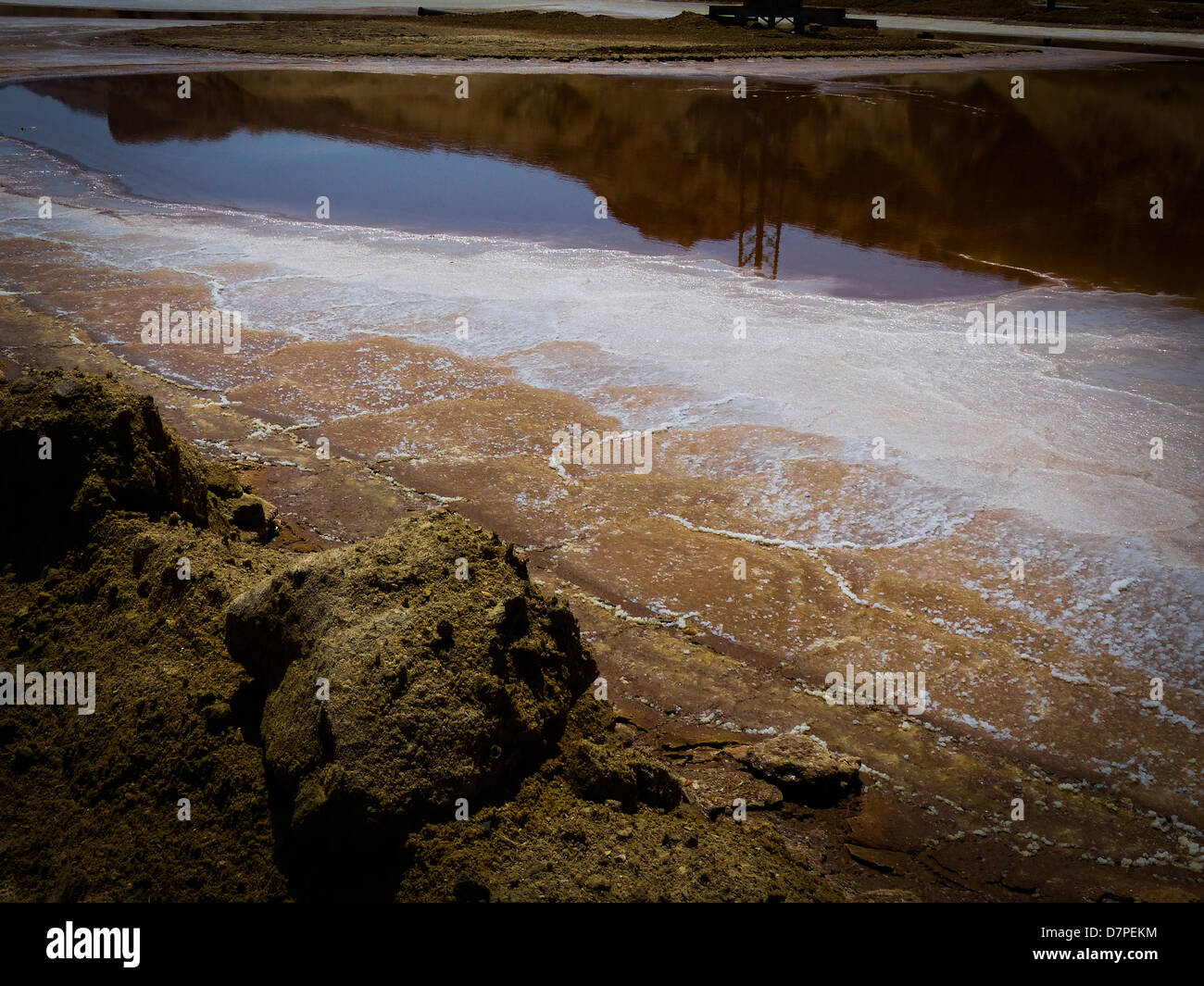 Israel, Dead Sea salt marsh Stock Photo - Alamy