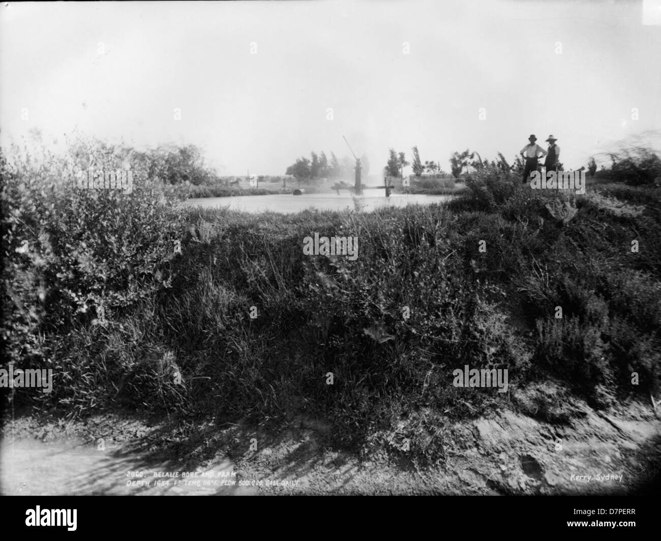 This image from the Powerhouse Museum shows Belalie bore, part of an ...