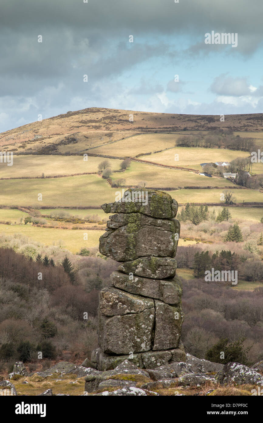 Rocky outcrop on Dartmoor, Devon UK known as Bowerman's Nose, April ...