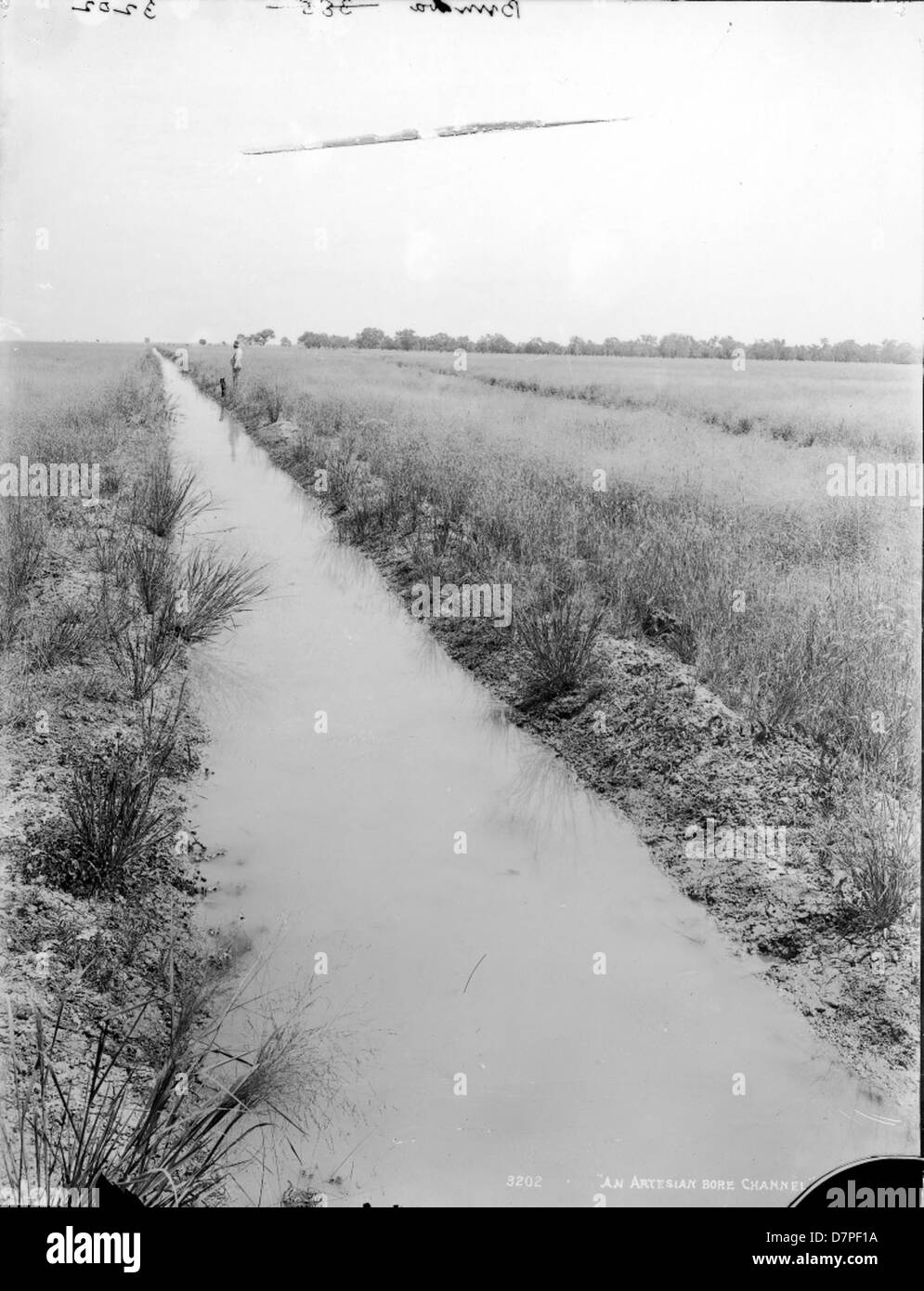 The artesian bore channel depicted in this image is part of the ...