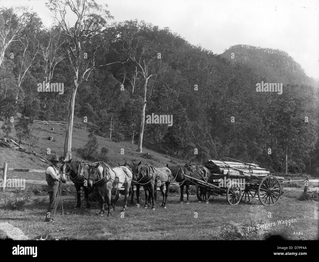 The settlers wagon, housed in the Powerhouse Museum, is an example of ...