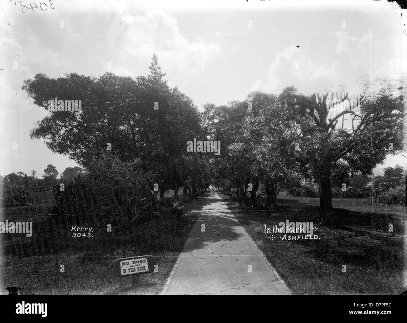 Australia, park, people Black and White Stock Photos & Images - Alamy