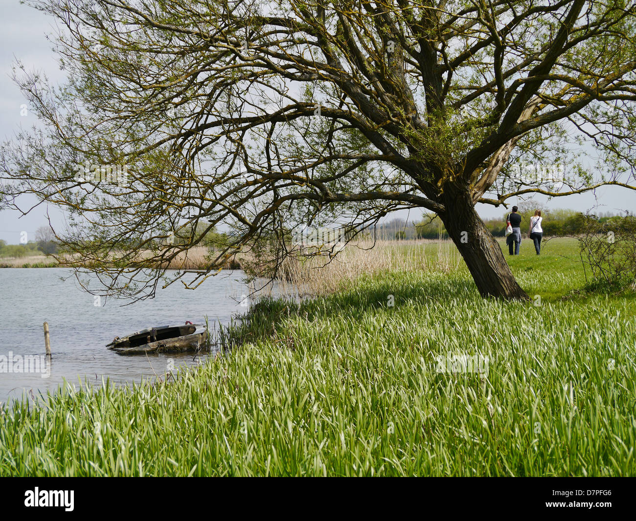 Walking the Thames Path towards King's Lock, Oxfordshire, United ...
