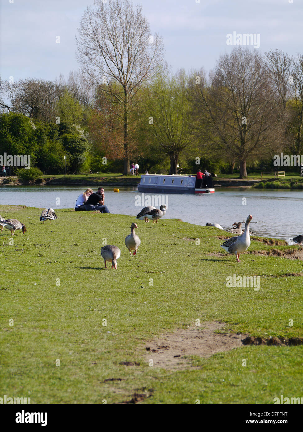 Port meadow oxford hi-res stock photography and images - Alamy