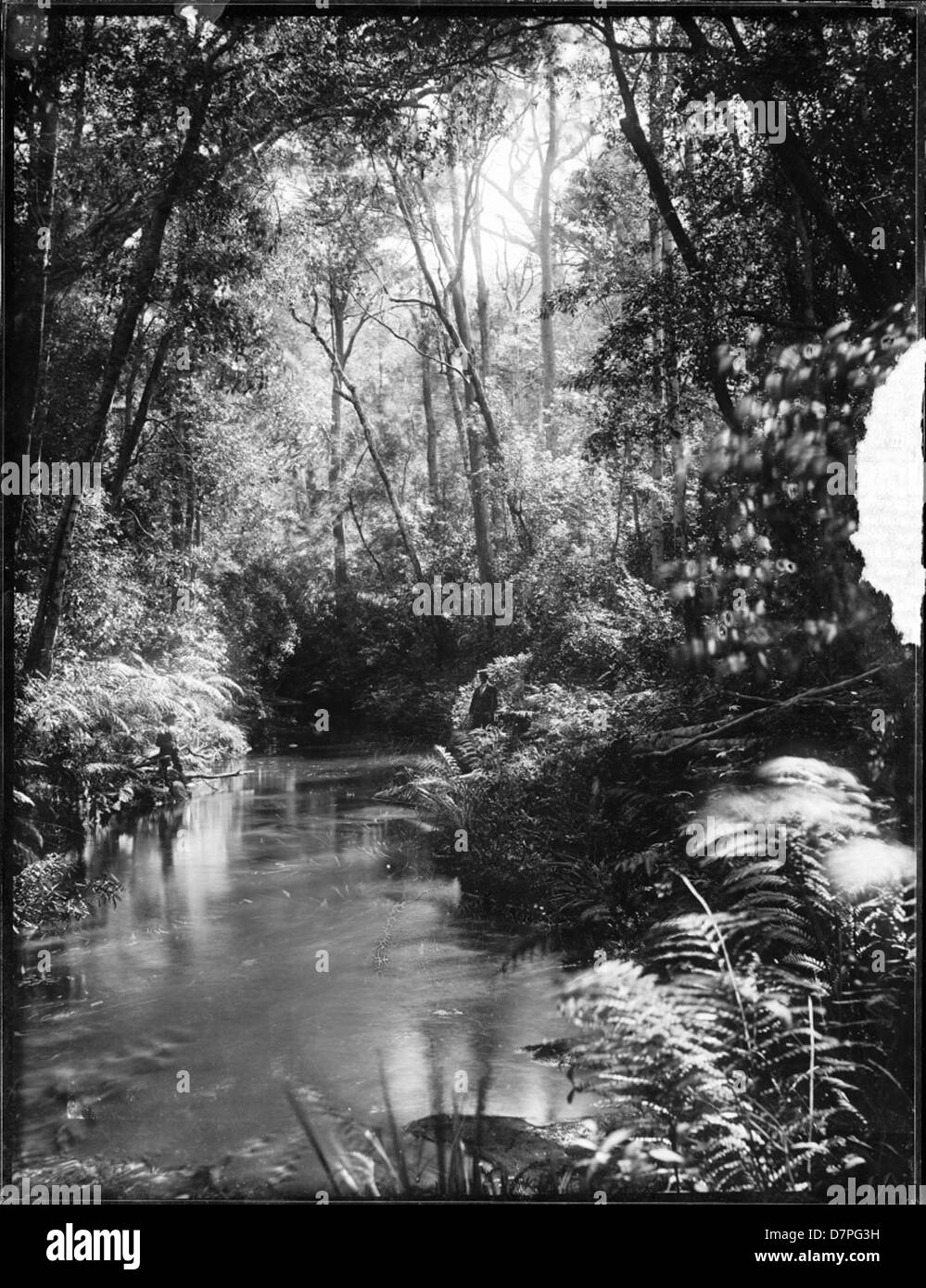 This artwork portrays a typical Australian bush scene featuring a river ...