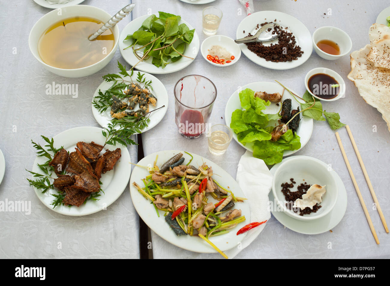 Snake Food High Resolution Stock Photography and Images - Alamy