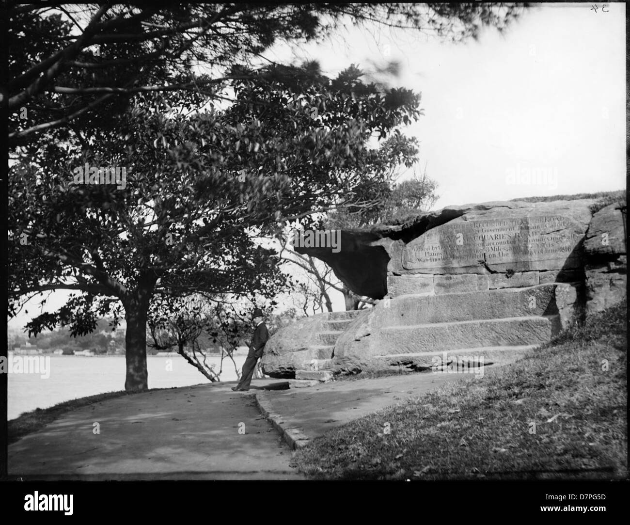 Sydney Harbour side scene, Mrs Macquarie's Road Stock Photo - Alamy