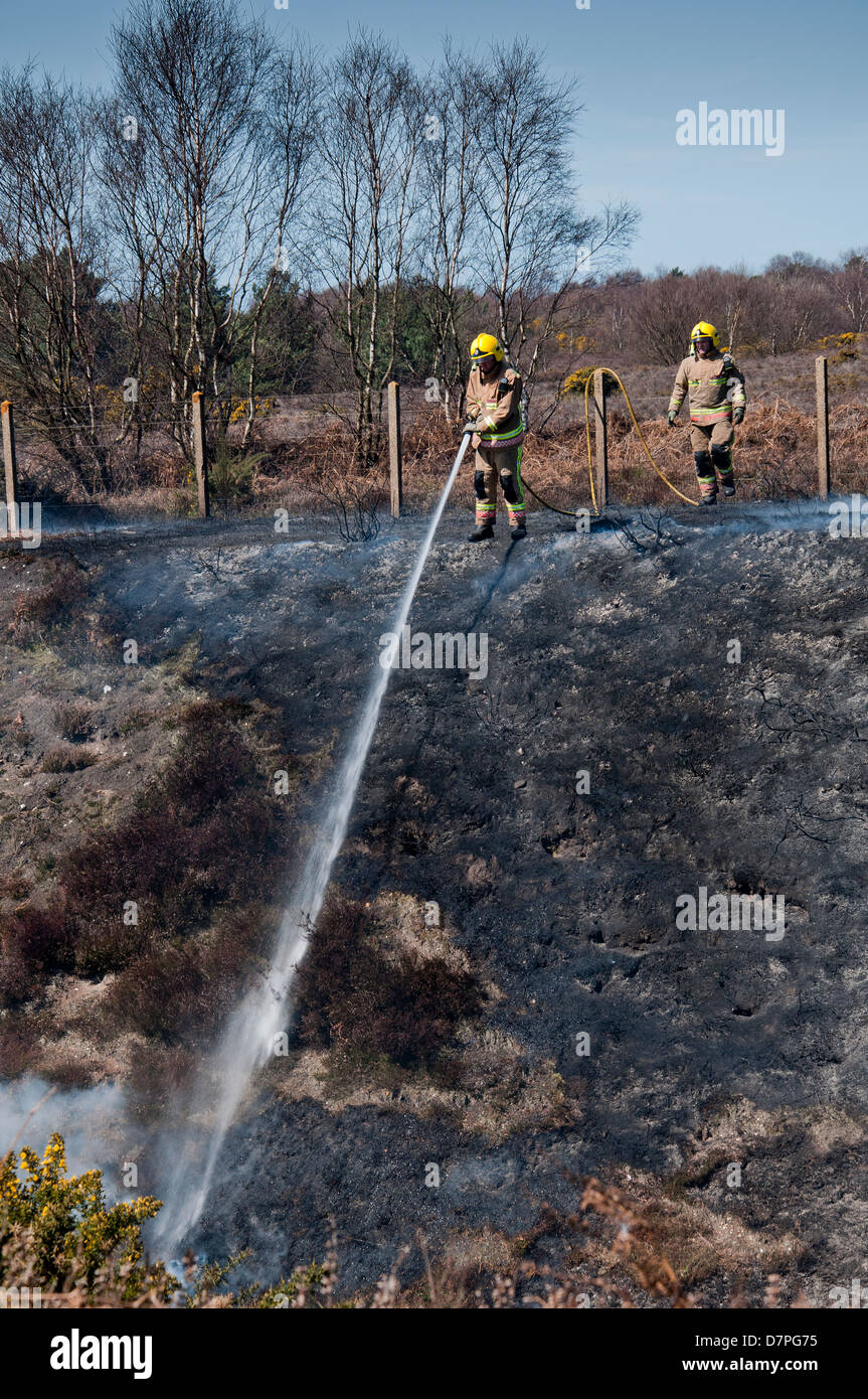 Fire fighters extinguishing a heathland blaze Stock Photo - Alamy