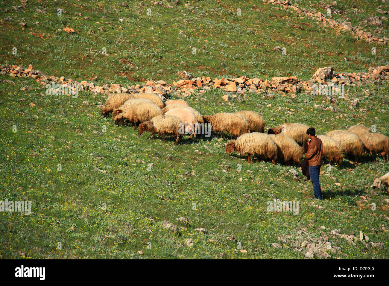 The sheepman hi-res stock photography and images - Alamy