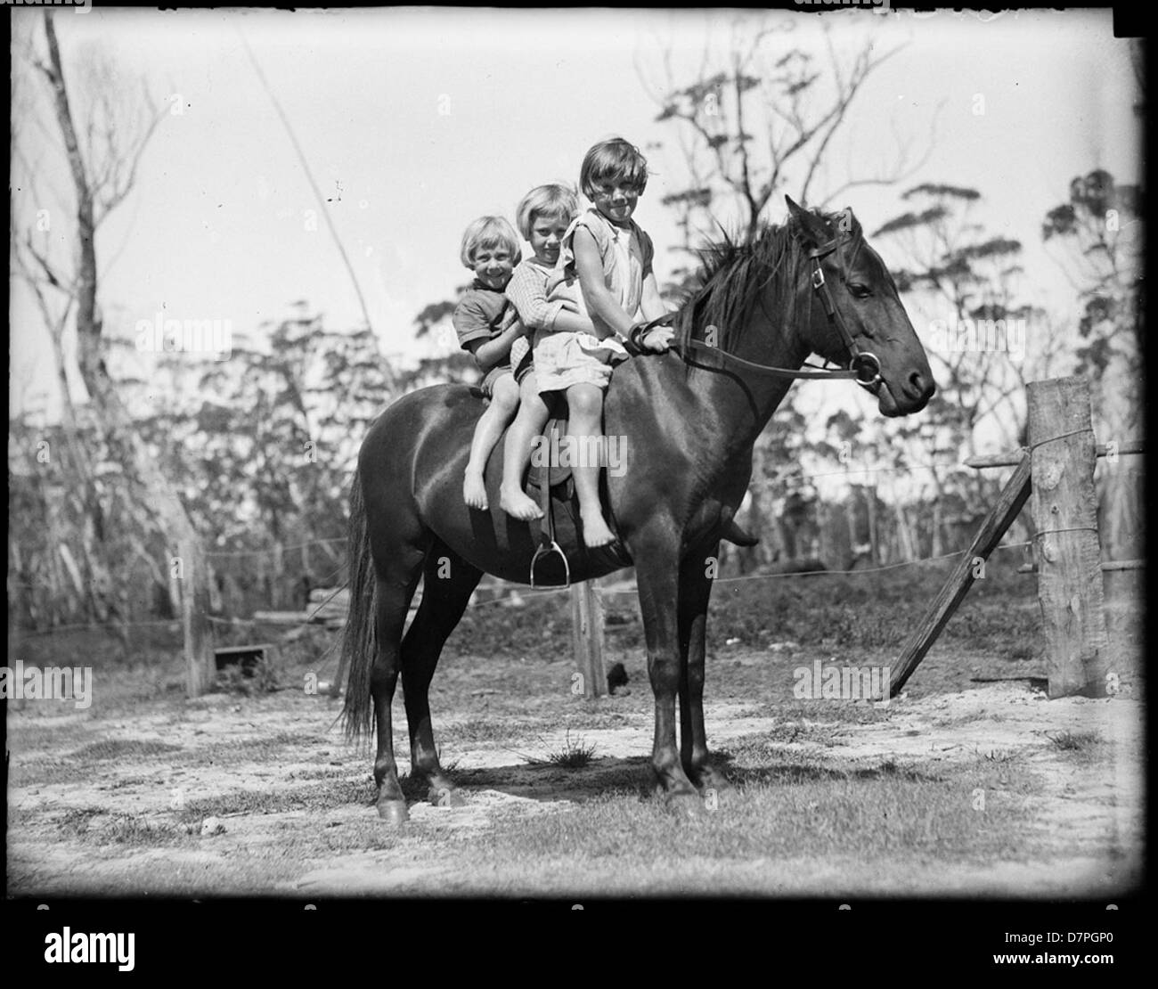 A photograph of three barefoot children riding a horse at Lake Conjola ...